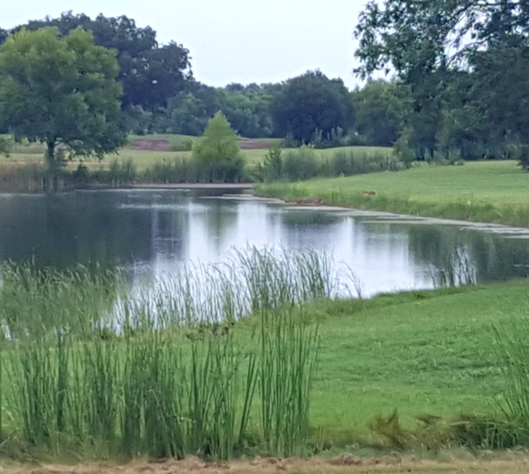 Golf Course - Rusted Rail Golf Club